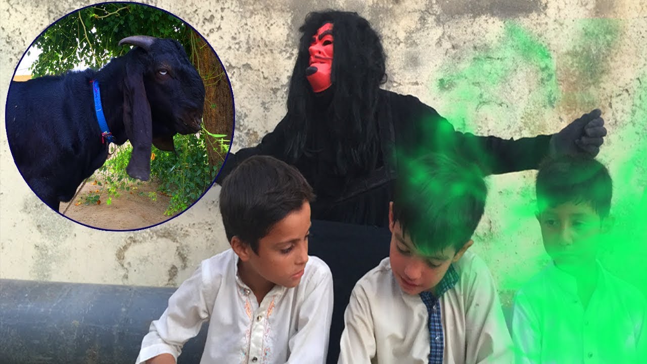 Shaitan Vs Qurbani Bakra | Bakra Eid Pakistan | Shaitan Vs Bakra Eid ...