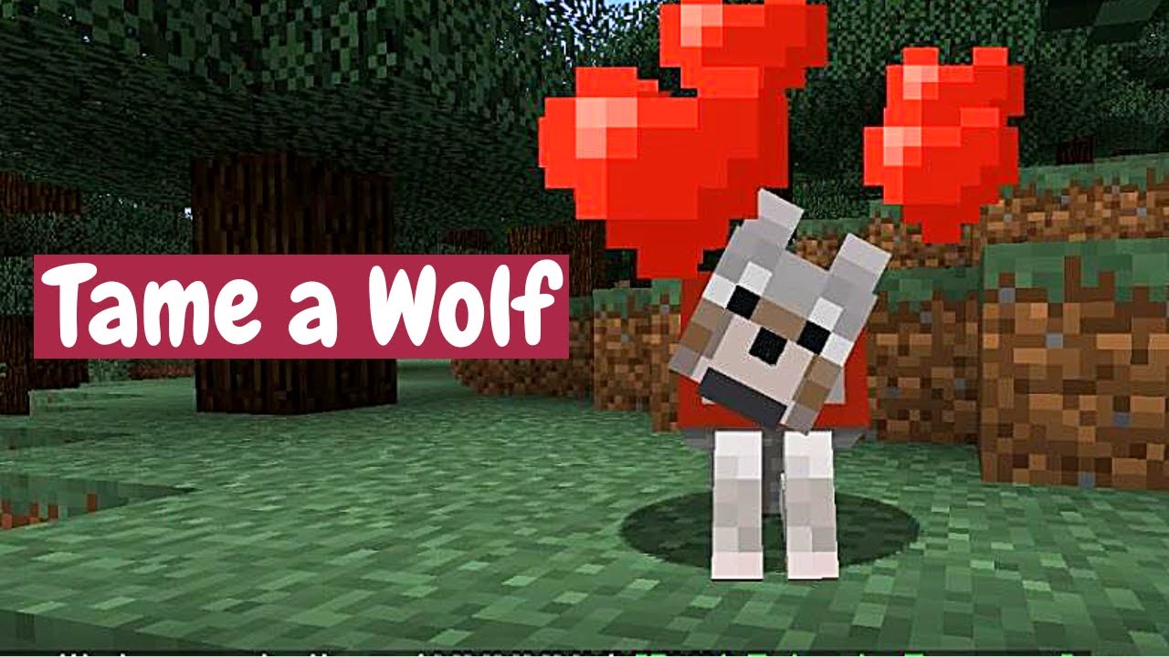 How To Tame a Wolf To Get a Dog - Minecraft Tutorial - YouTube