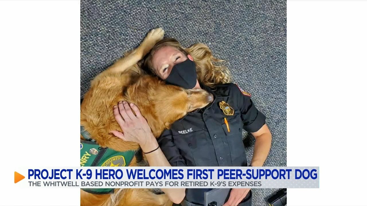 Project K-9 Hero welcomes its first peer-support dog - YouTube