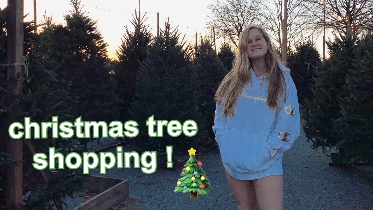 Getting Our Christmas Tree Vlogmas Day 2 Youtube