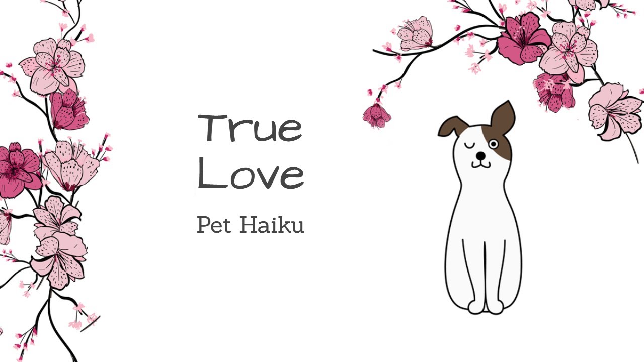 Haiku - True Love - YouTube