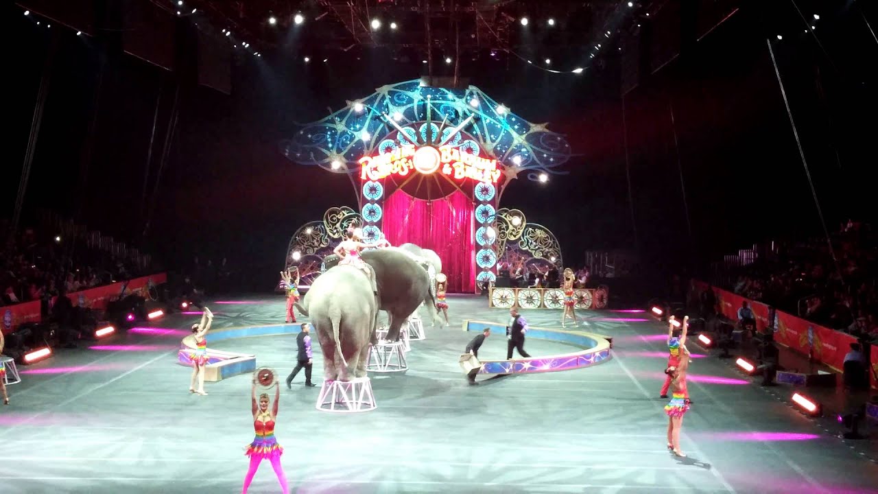 Elephant doing headstand Ringling Brothers Circus - YouTube
