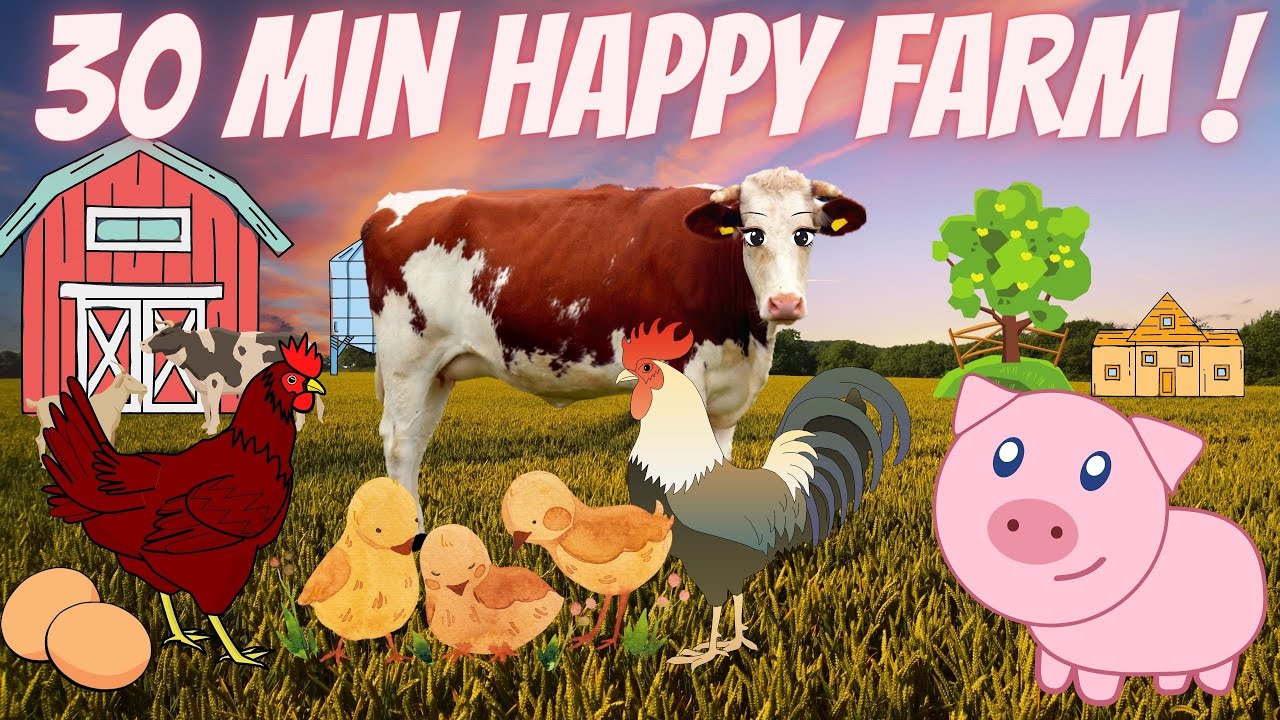 30 minutes HAPPY FARM - The life sounds and colors of Animals ! - YouTube