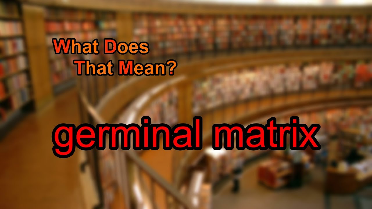 What does germinal matrix mean? - YouTube