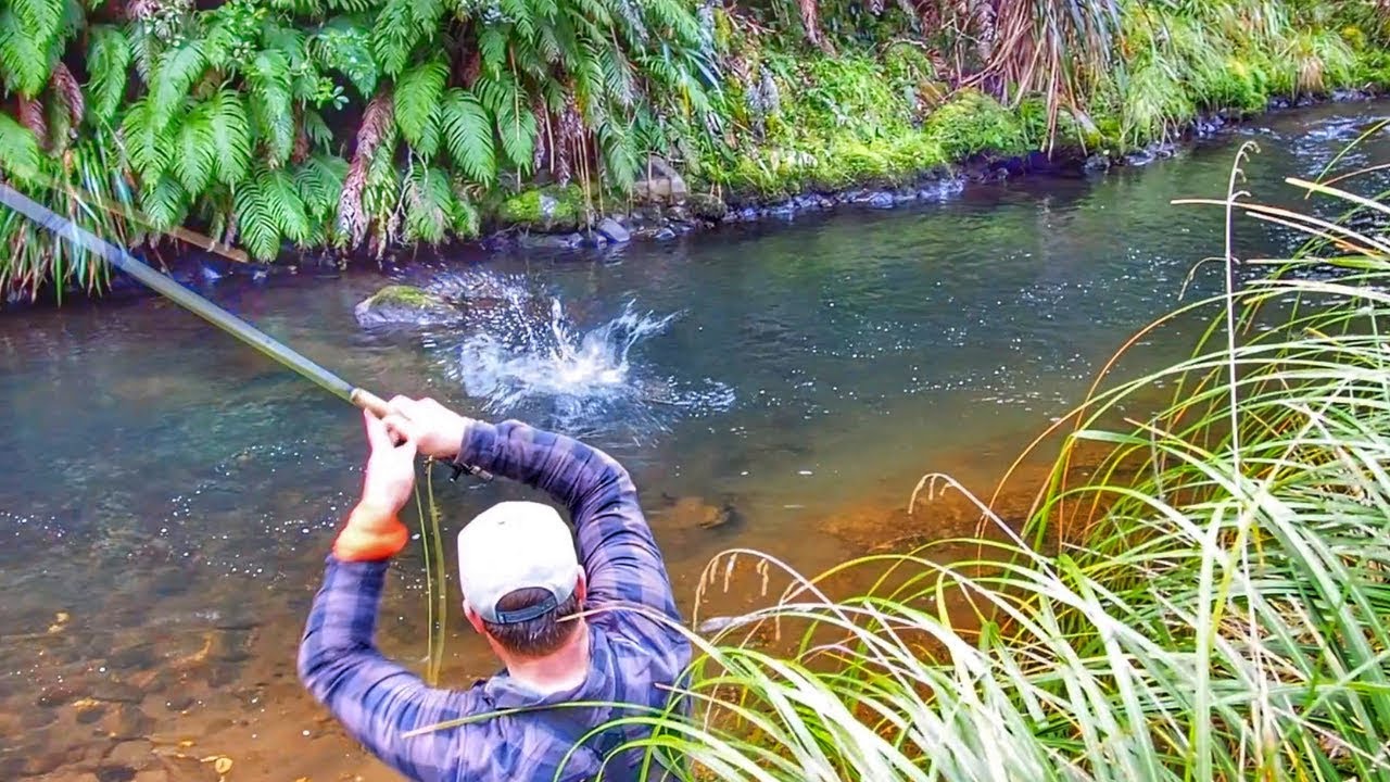 REMOTE FISH/CAMP [New Zealand Fishing] Part 2 - YouTube