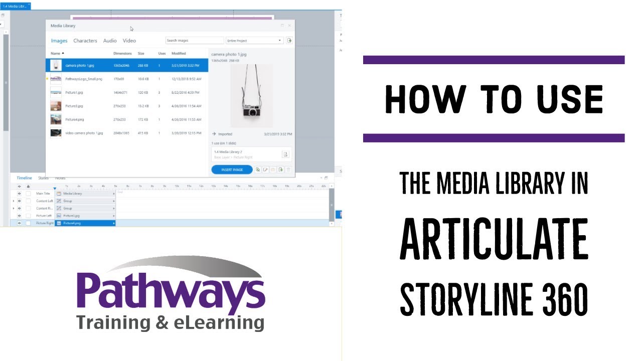 How to Use the Media Library in Articulate Storyline 360 - YouTube