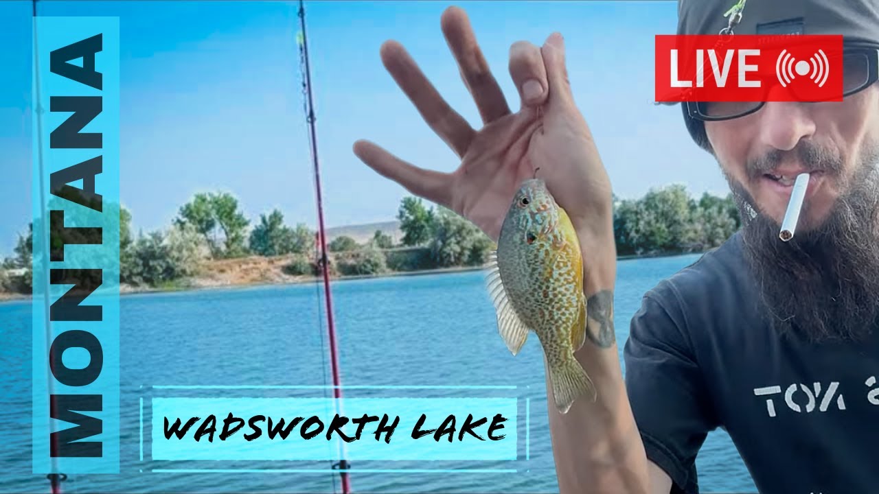 #LIVE #FISHING - E44 - Montana Multi-species fishing at Wadsworth ...