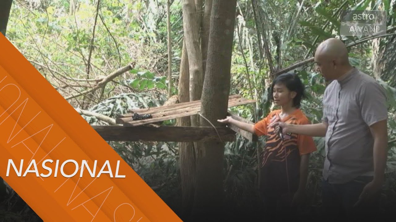 Panjat pokok demi internet, bagaimana nasib pelajar lain? - YouTube