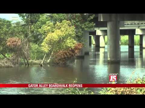 Here's Darwin: Gator Alley Boardwalk is Open - YouTube