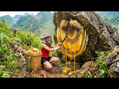TIMELAPSE - Harvesting a Giant Beehive on a Mountain Slope and Transporting It to Sell at the Market