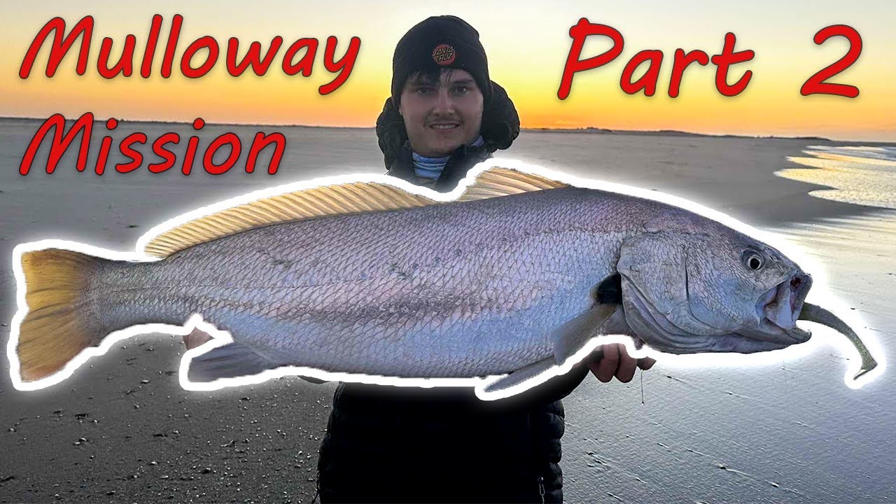 Red Hot Mulloway Session | Mulloway Mission Part 2 - YouTube