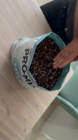 Pro-Mix 🌱 Découvrez le meilleur substrat pour vos cultures ! - YouTube