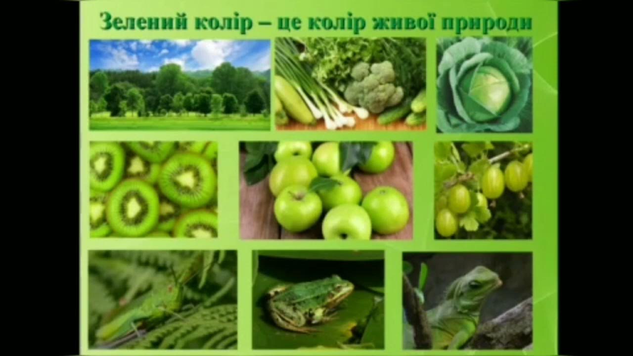 Кольоровий тиждень. Зелений день. - YouTube
