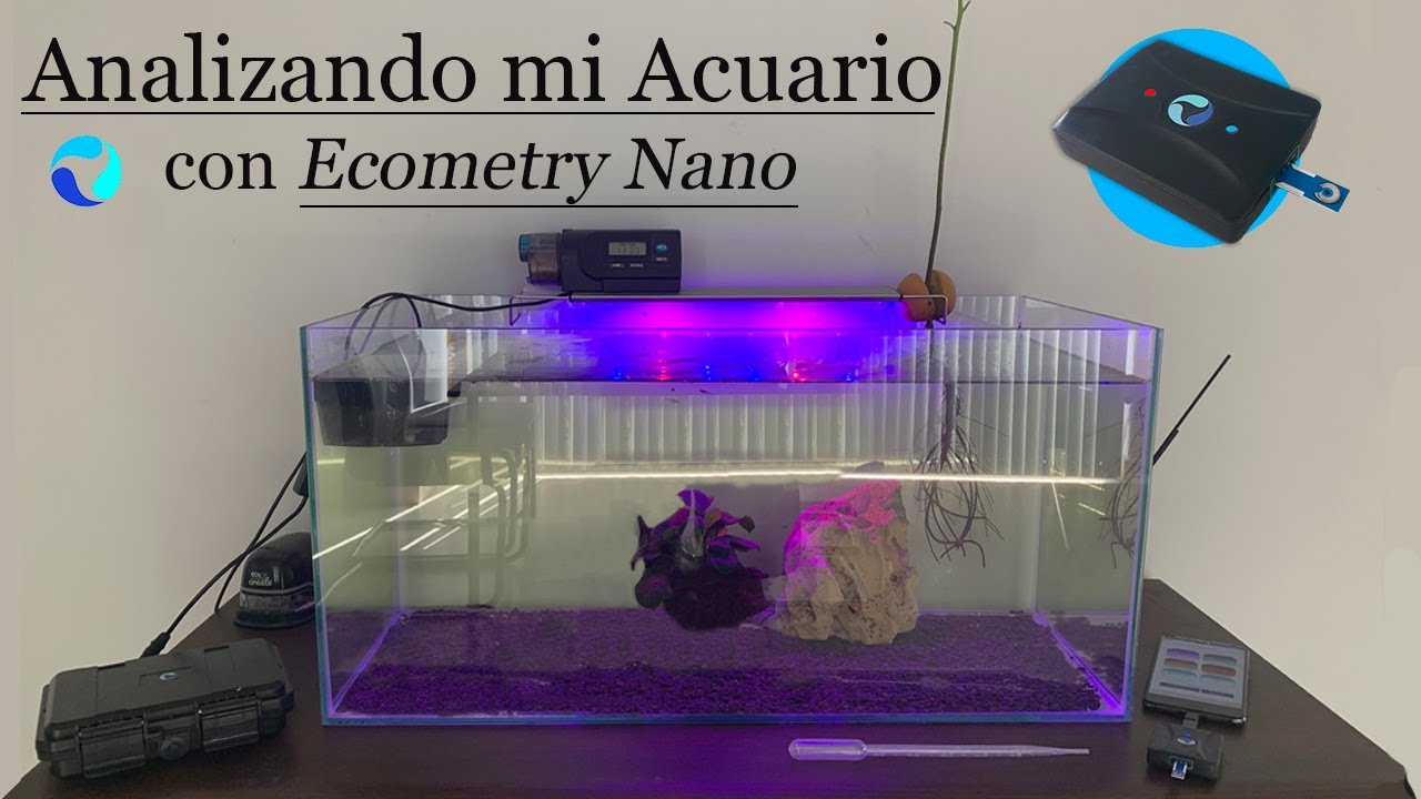 Analizando mi acuario con Ecometry Nano - YouTube