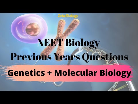 NEET Biology Previous Years Questions | NEET 2020 - YouTube