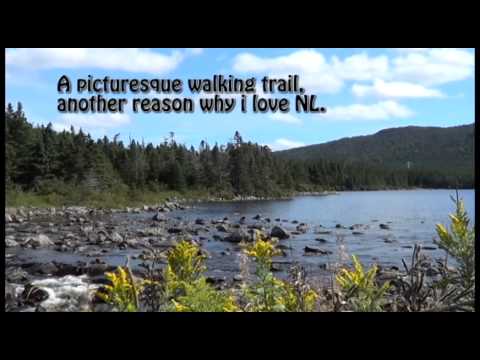Shag Rock Whiteway NL - YouTube