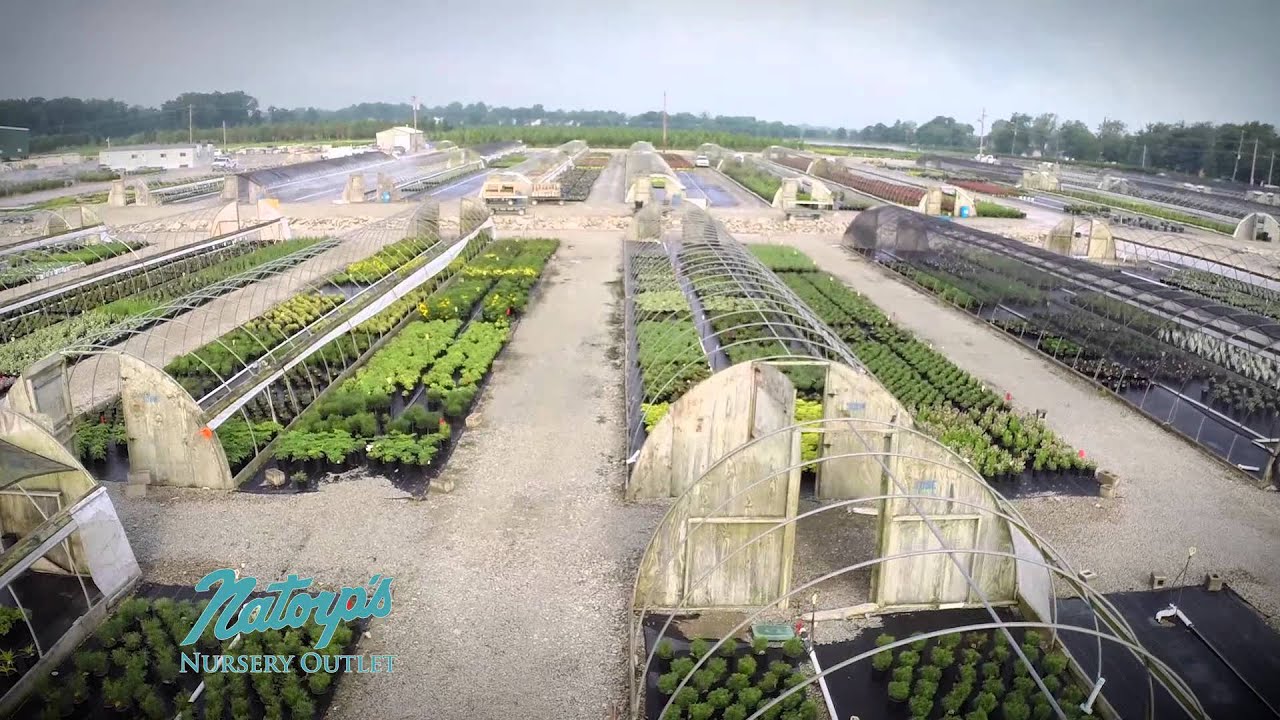 Behind the Scenes: 300 Acres of Plants - YouTube