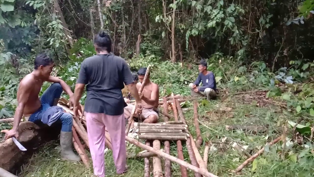 Cara naik kayu tapang untuk mengambil madu tawon - YouTube