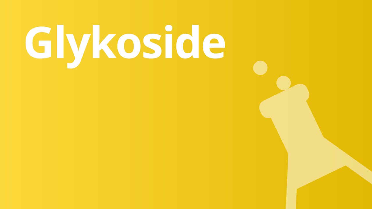 Erster Teil Glykoside: Bildung und Eigenschaften | Chemie - YouTube