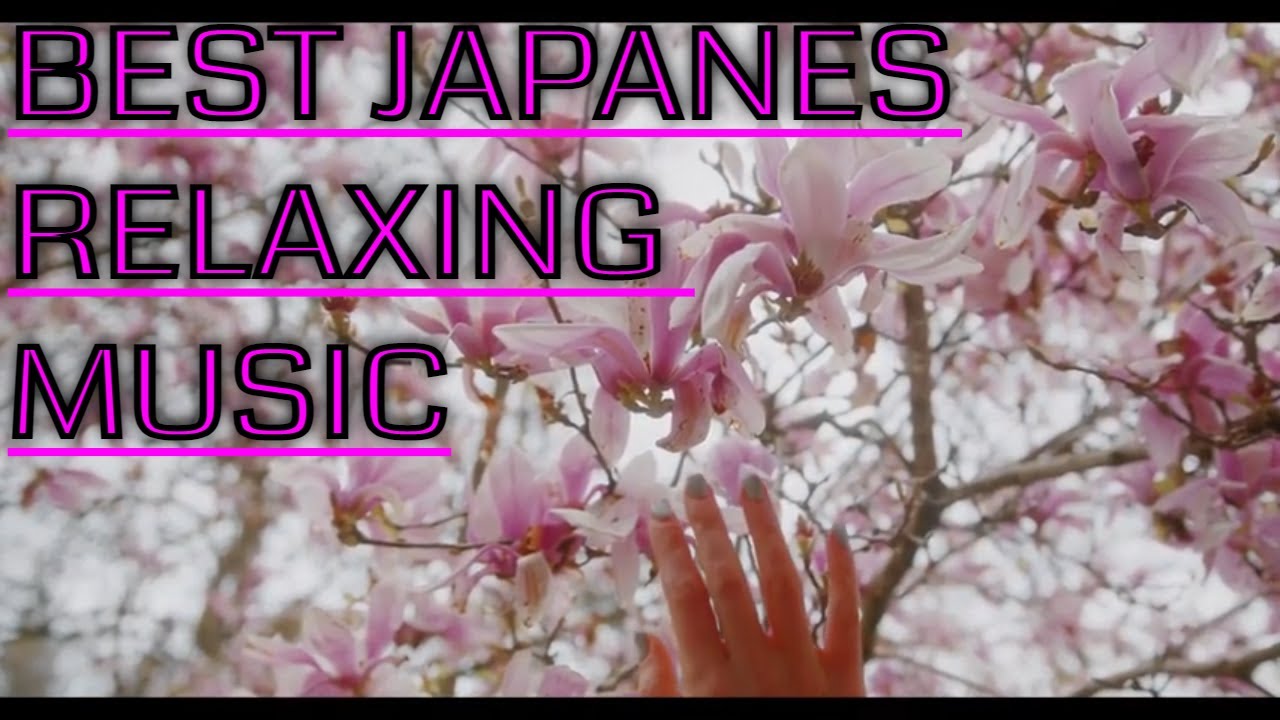 BEST JAPANESE RELAXING MUSIC | NO CPR | SOFT MUSIC | SLEEPING MUSIC ...