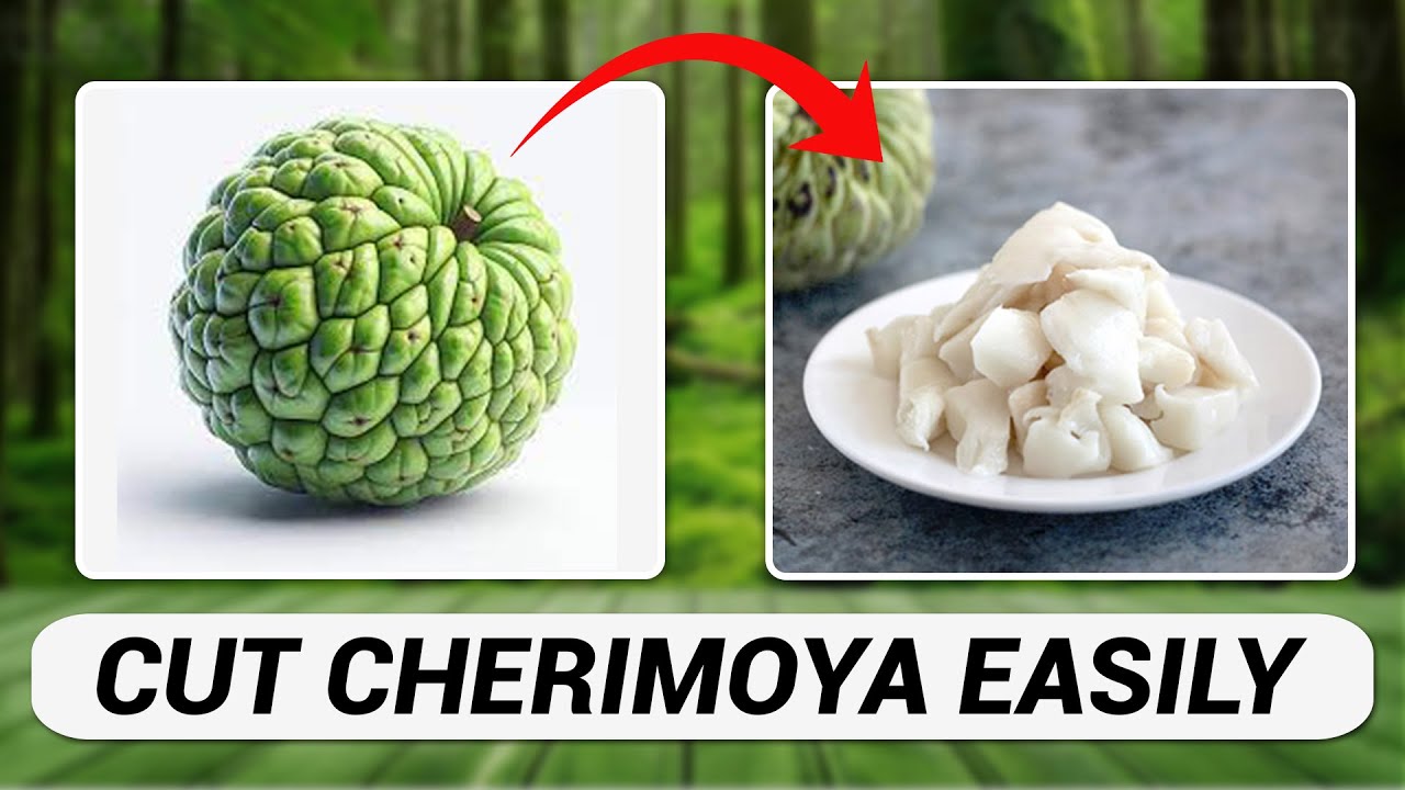 How to Cut Cherimoya Fruit Easily (Custard Apple) - YouTube