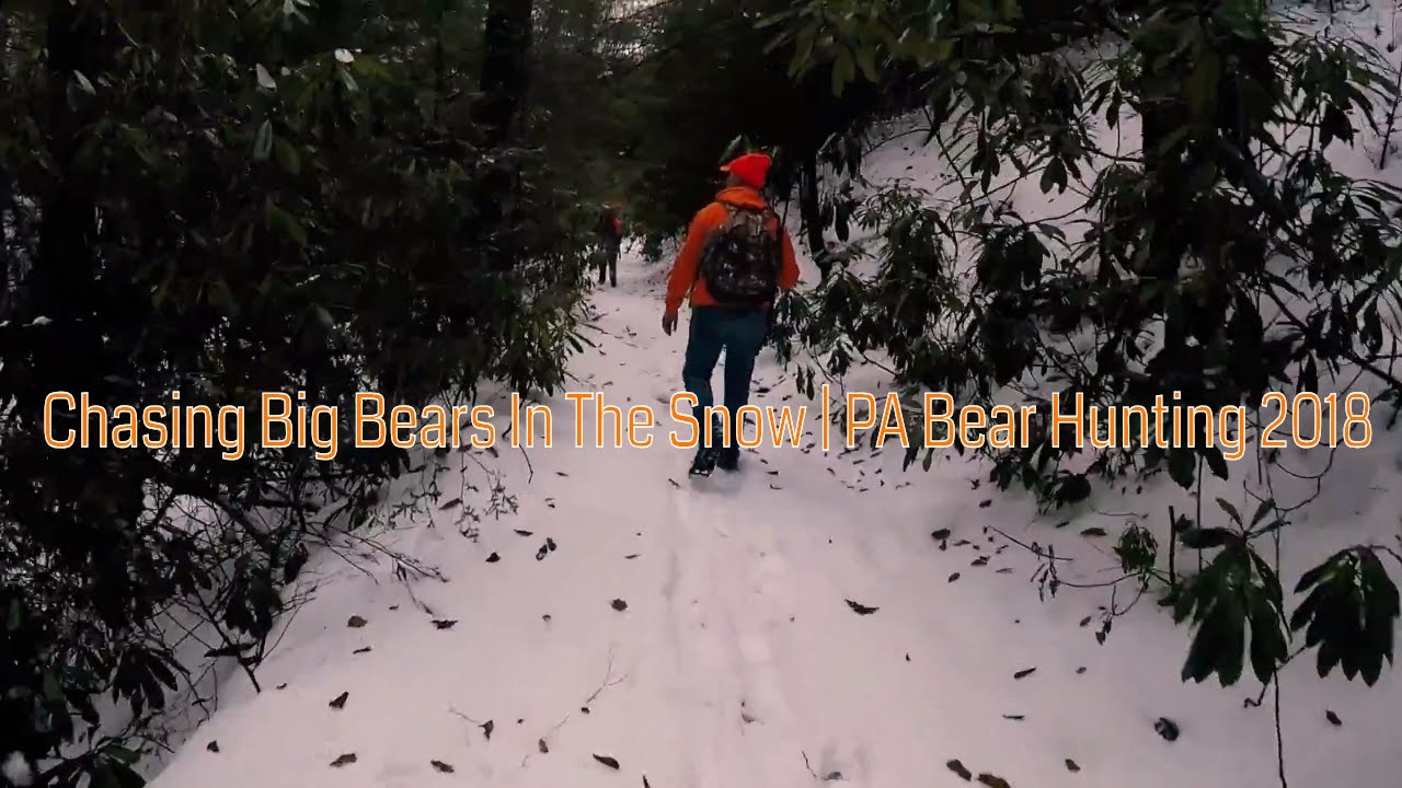 Chasing Big Bears In The Snow | PA Bear Hunting 2018 - YouTube