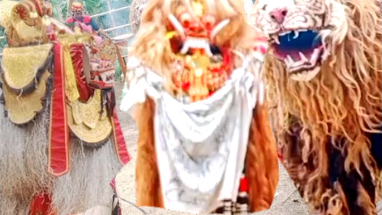 Tari MACAN UNTAL,RANDE, BARONG BALI | BARONG ARUM SARI PLAMPANG | # ...