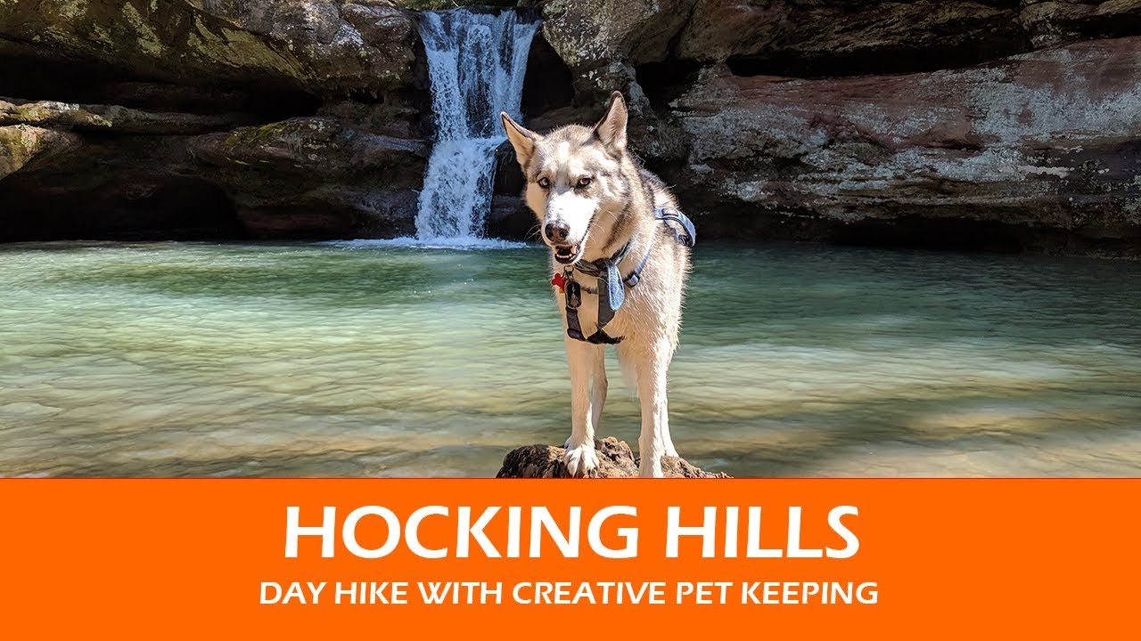 Hocking Hills | Day Hike with Creative Pet Keeping - YouTube