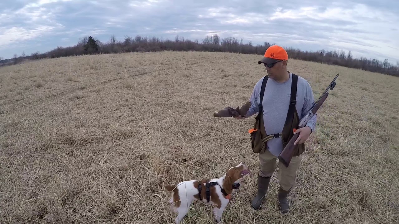 Hunting Meadowview preserve - YouTube