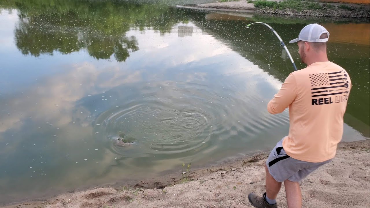 Iowa Flathead Catfishing | HUGE Flathead Landed On Cut Bait - YouTube