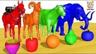 Wrong Fruit Colors with Animal Name and Sound - Learning Video ...