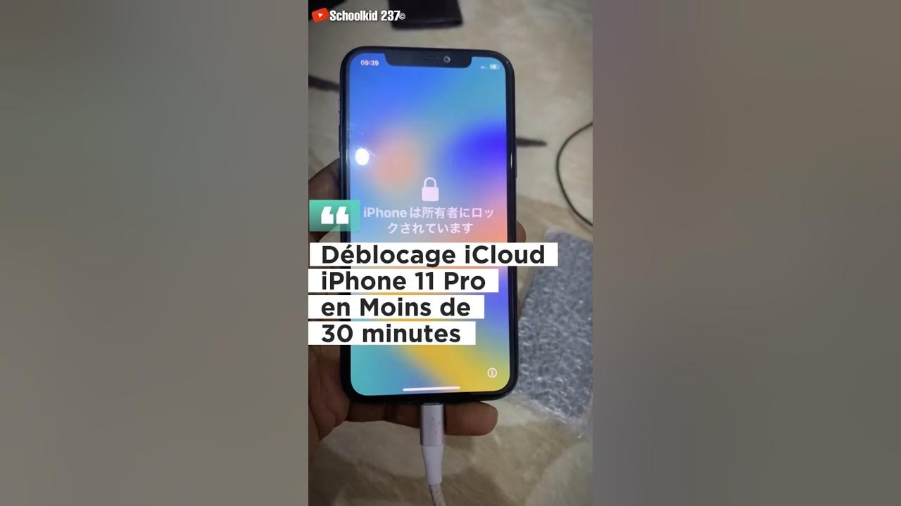 Bypass Icloud Sim Iphone 11 Pro X Gratuit 😱 Youtube