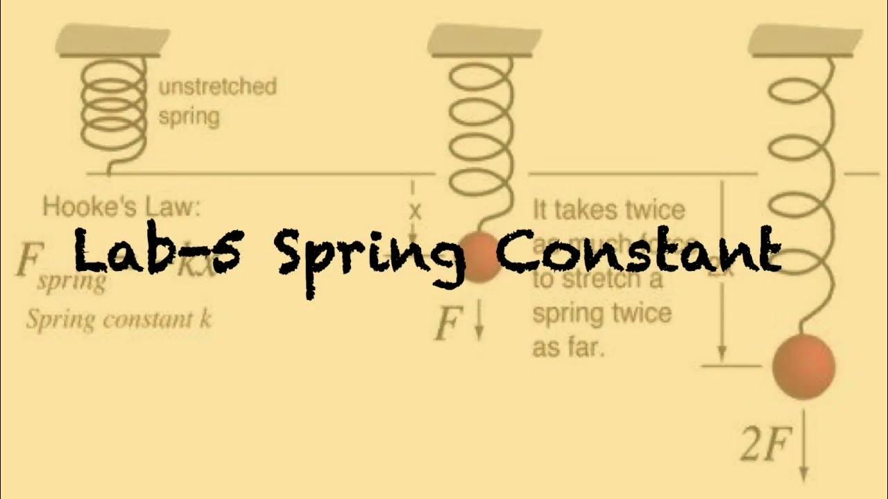 Spring constant Experiment - Done at home - YouTube