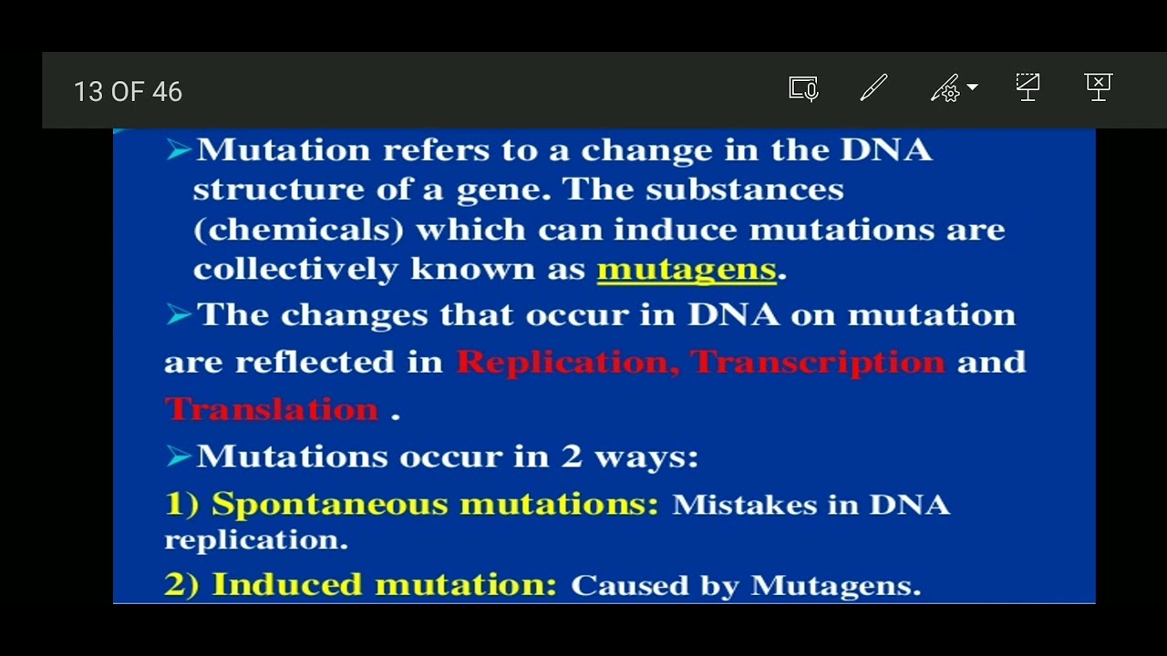 T.Y.B.Sc BOTANY DNA damage n repair - YouTube