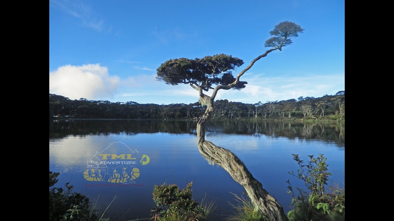 Gunung Singgalang dengan Samudra diatas Awan #TML Adventure - YouTube