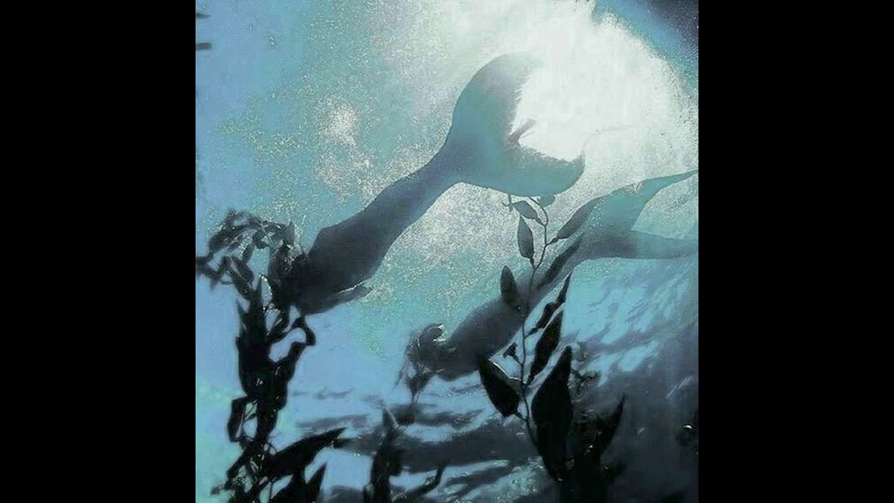 Merperson Subliminal - YouTube