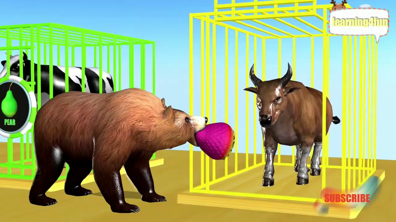 Color learning step by step by animals."learning4fun! - YouTube