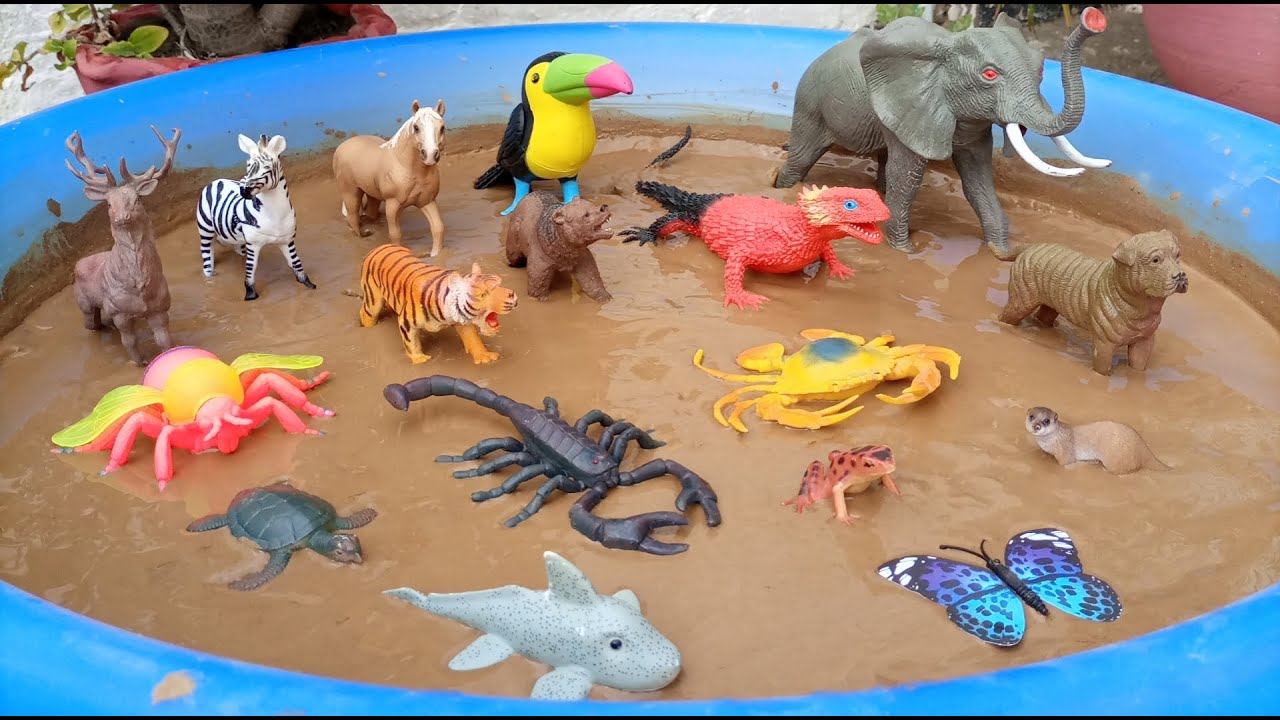 DWH Safari & Zoo Animals Toy Sea Creatures, Insect Exploration - YouTube