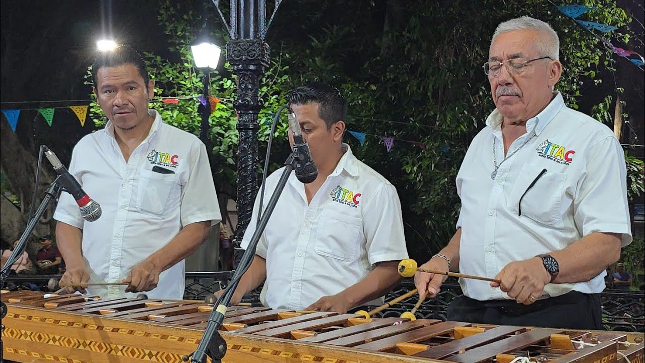 MARIMBA AL PIE DEL CAÑON CANCIONES PARQUE DE LA MARIMBA 🇲🇽TUXTLA ...