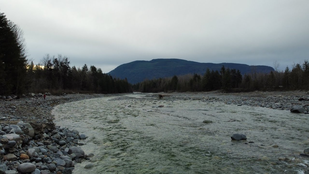 Norrish Creek 12.29.23 - YouTube