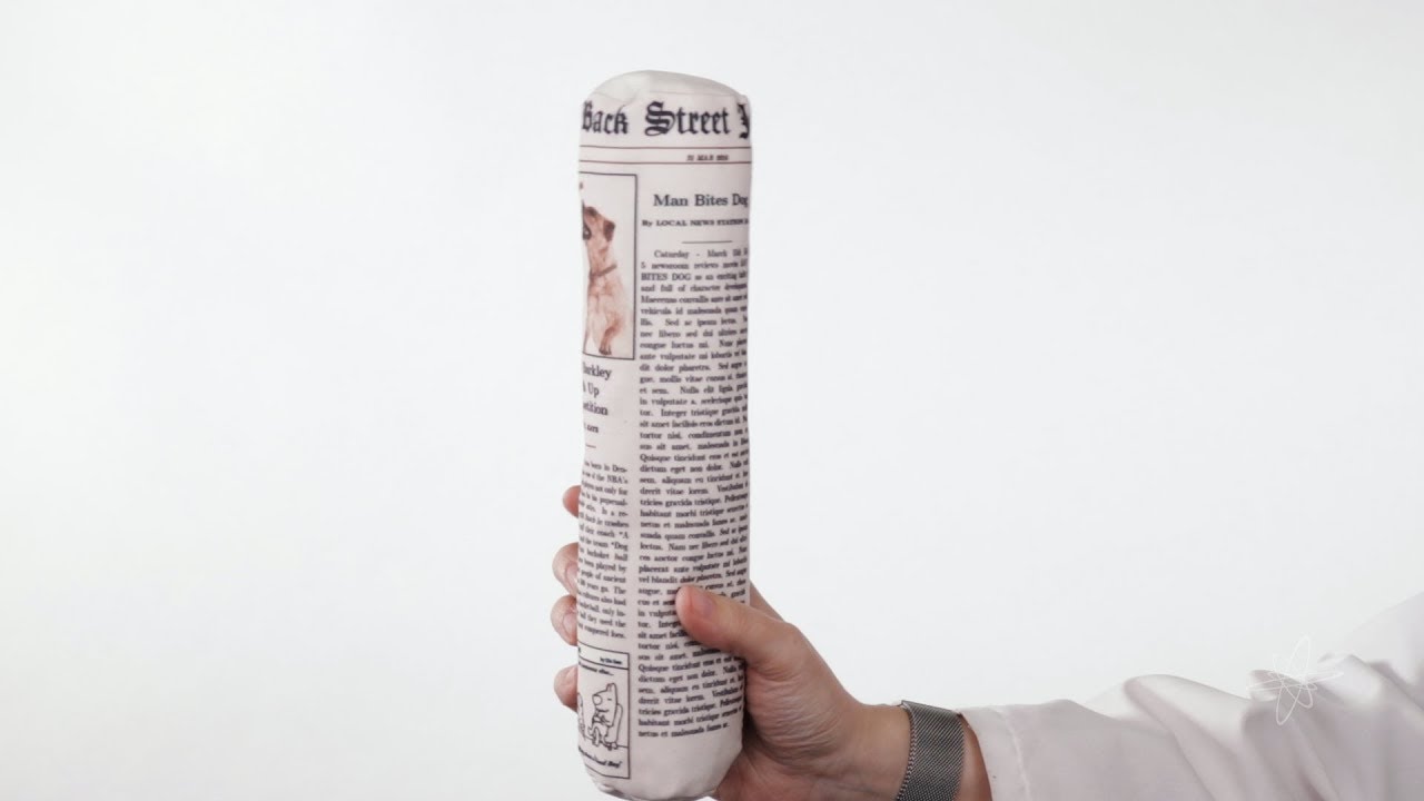 Newspaper Dog Toy By Champion Breed – Squeaker & Crinkle Sound - YouTube