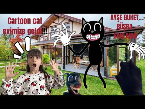 OLAMAZ‼️CARTOON CAT EVİMİZE GELDİ AYŞE BUKET,BÜŞRA SAKLANIN‼️  