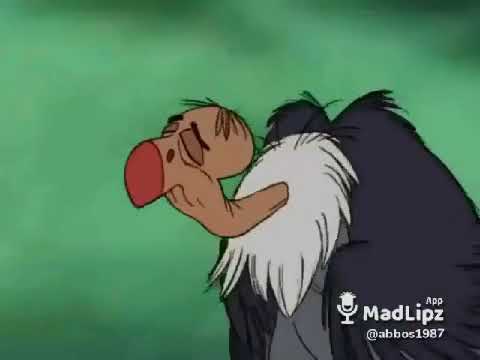 qashqadaryo qarshi koson poʻlati guvalaklik bulalar