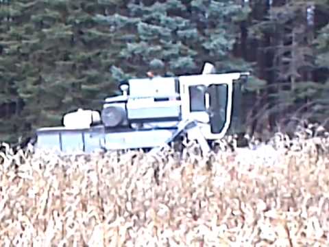 Combining Corn 11-23-14 w/Gleaner K2 - YouTube