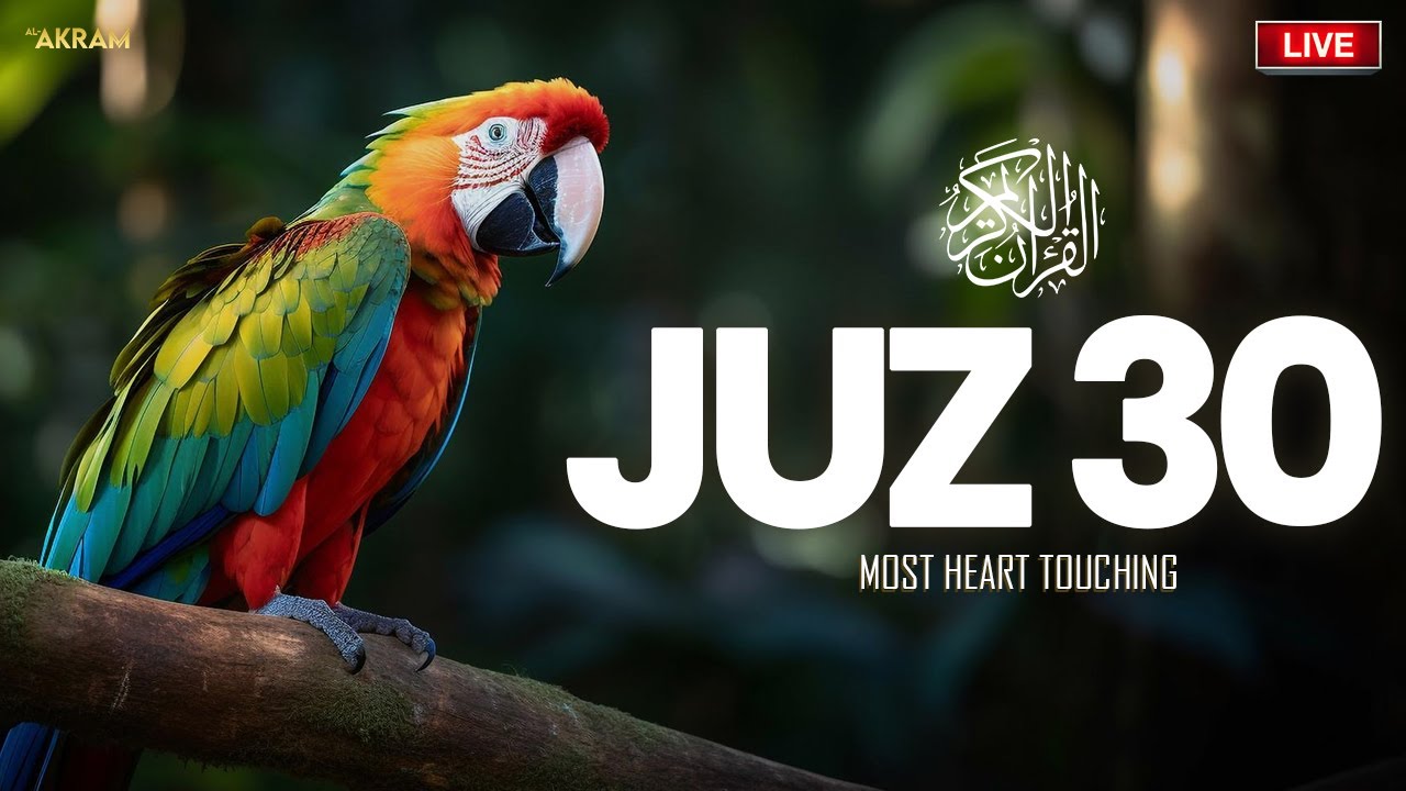 LIVE : MUROTTAL MERDU KUMPULAN SURAH-SURAH JUZ 30 | BEAUTIFUL ...