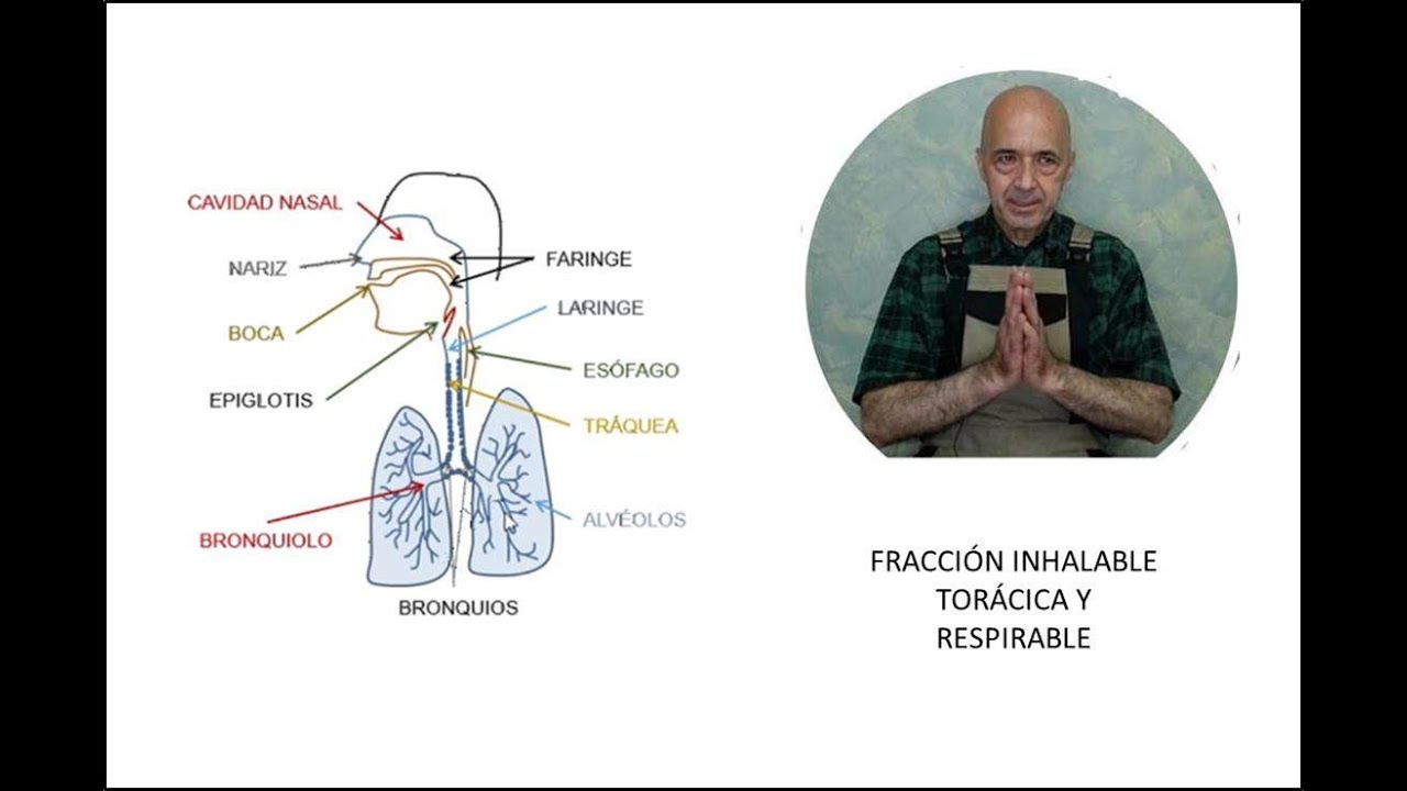 Fracción Inhalable, Torácica y Respirable - YouTube
