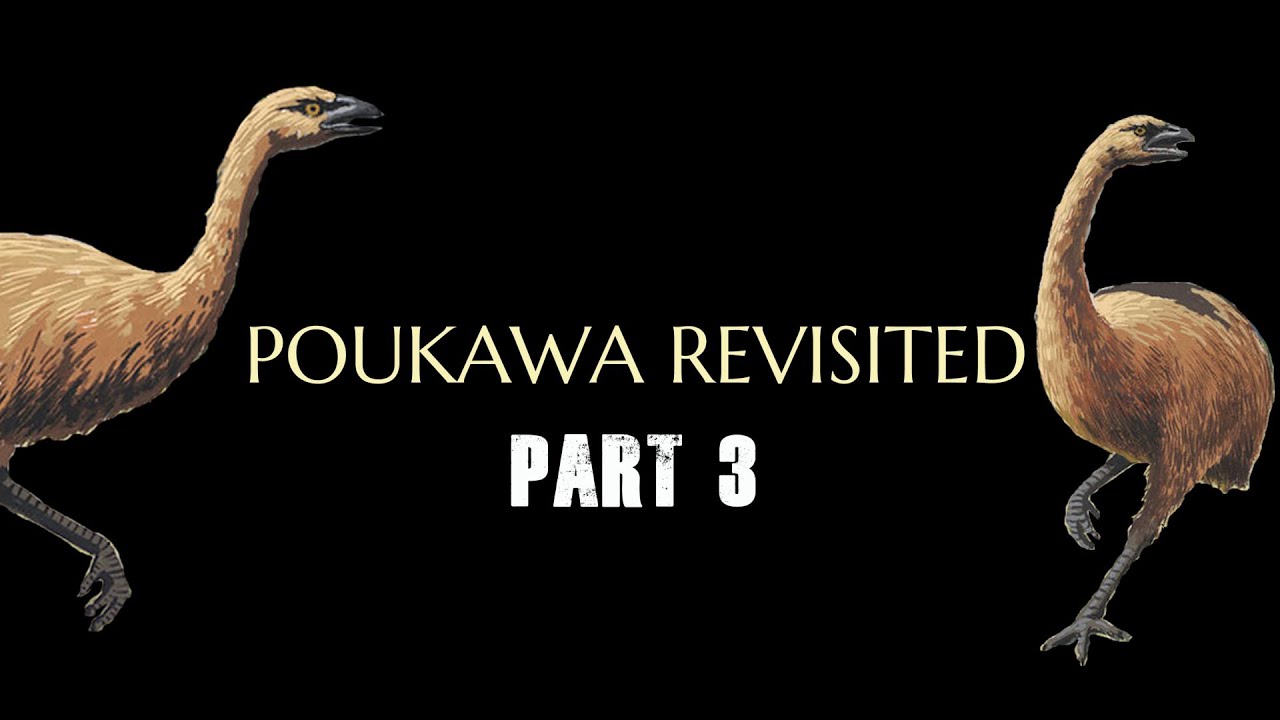 Poukawa Revisited part 3 - NZ A Very Old Country - YouTube