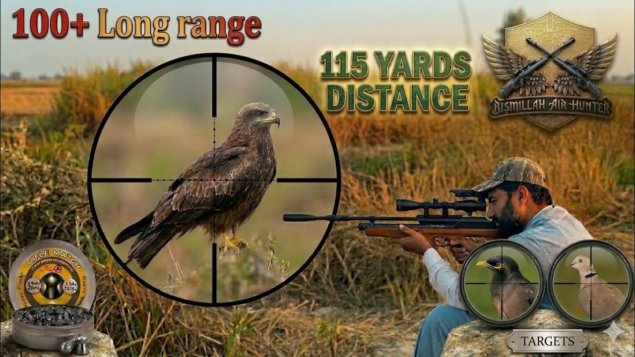 Myna and dove hunting with Snow peak m40 2024-2025 season|hunting birds ...
