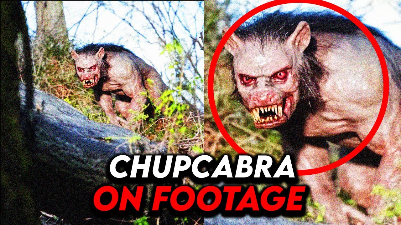 CHUPACABRA ENCOUNTER CAPTURED ON CAMERA - YouTube