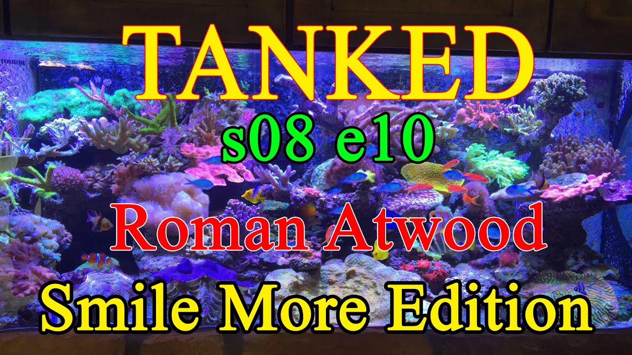 Tanked s08e10 Roman Atwood Edition 720p Download (Smile More Edition ...
